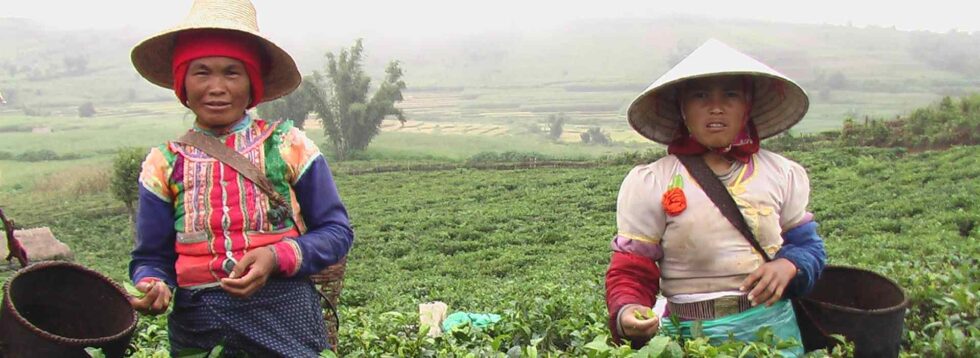 Ethnic China | Your guide to travel, culture and folklore in China
